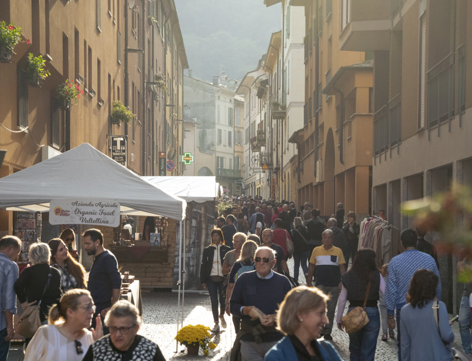 Mostra del Bitto: a Morbegno, in Valtellina, patria di formaggi dal ...